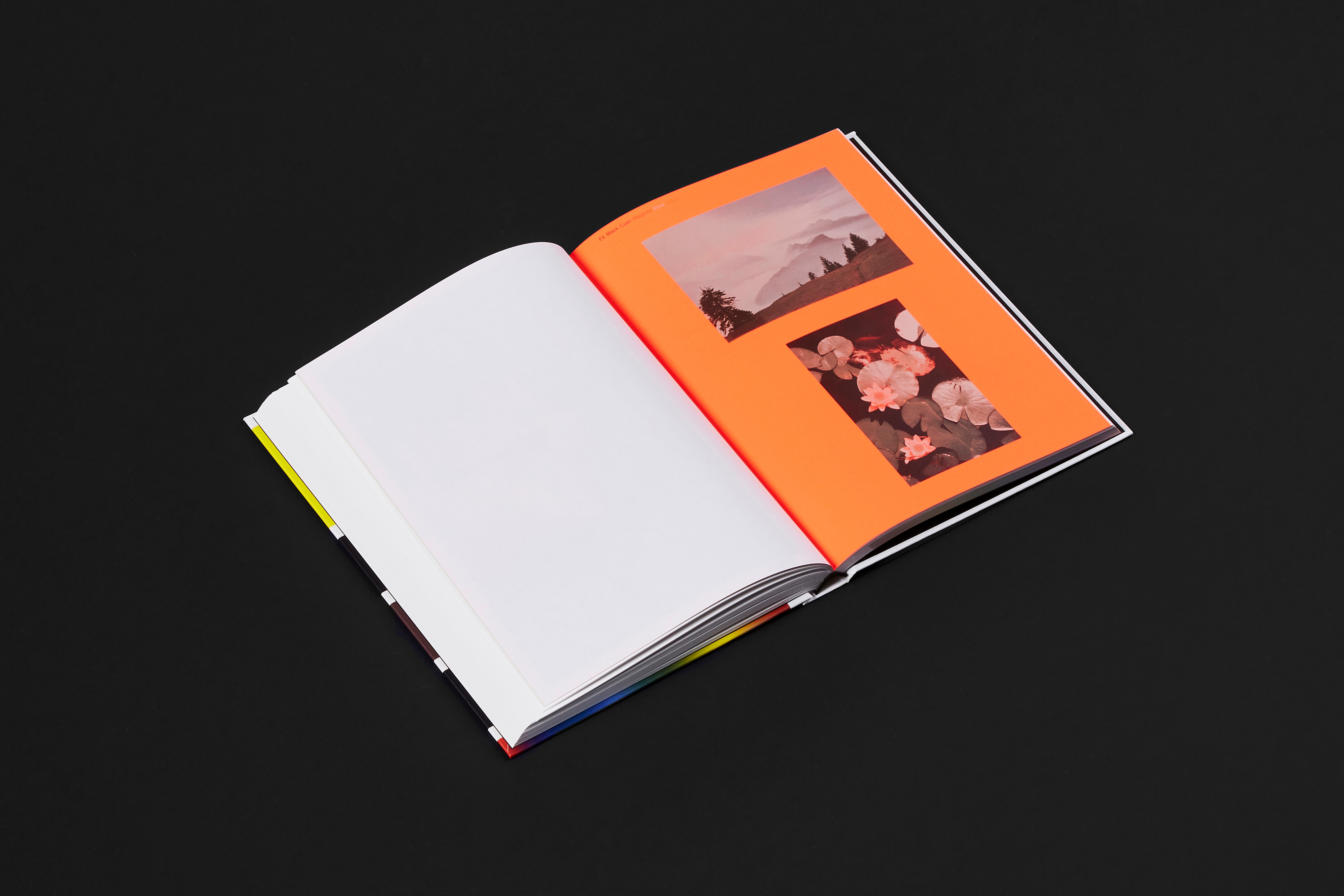 Color Library – Research into Color Reproduction and Printing | Maximage